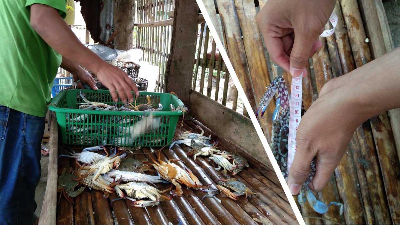 PROJECTS OF THE ORGANIZATION | NGOs for Fisheries Research